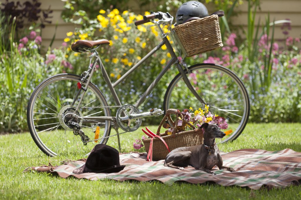 9 Pet Friendly Places to Stay in the Macedon Ranges | Pooch Getaways