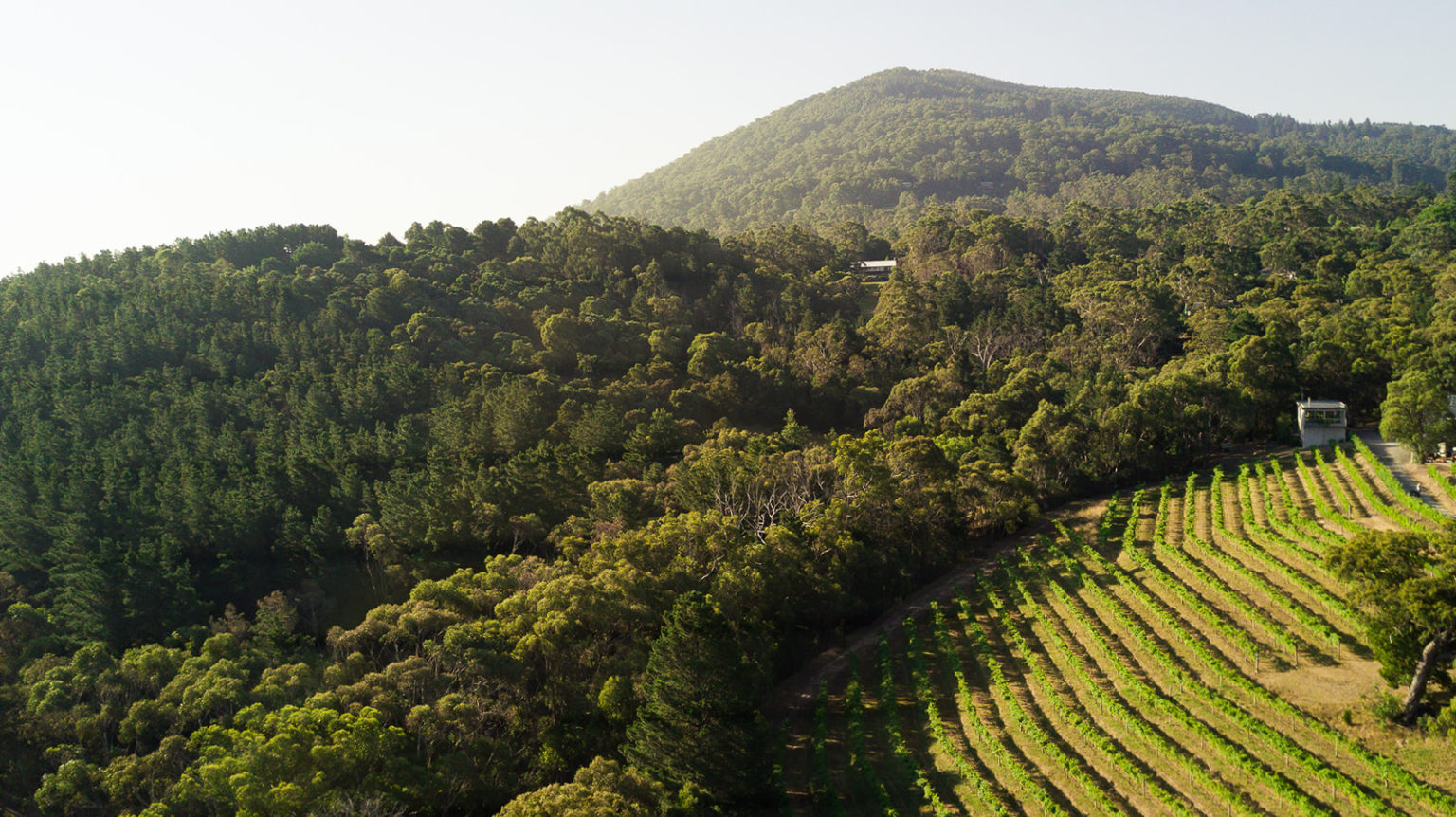 Macedon Ranges Wineries & Vineyards | Wine Tasting Macedon Ranges