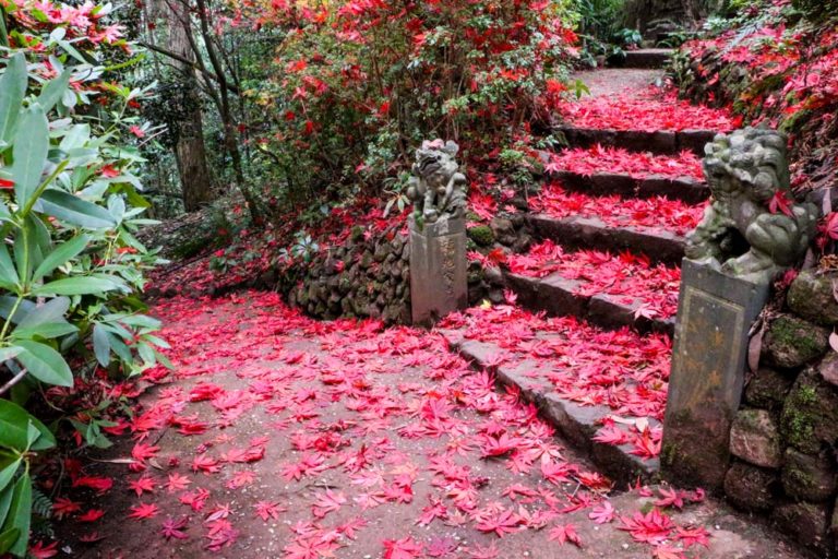 Autumn Festival - Macedon Ranges