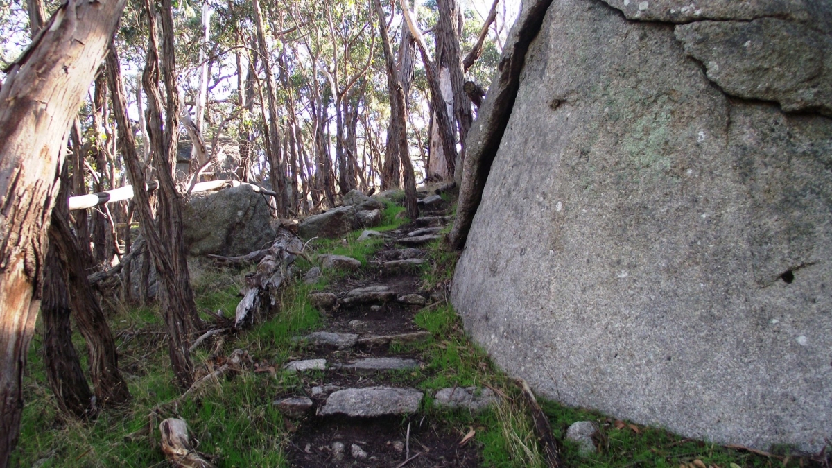Bushwalking and Wine Tasting Itinerary Suggestion
