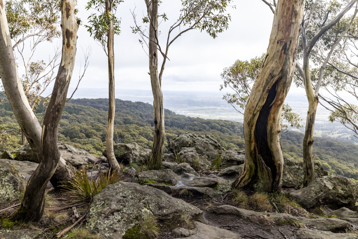 Lookouts, Barbecues & Picnic Spots | Visit Macedon Ranges