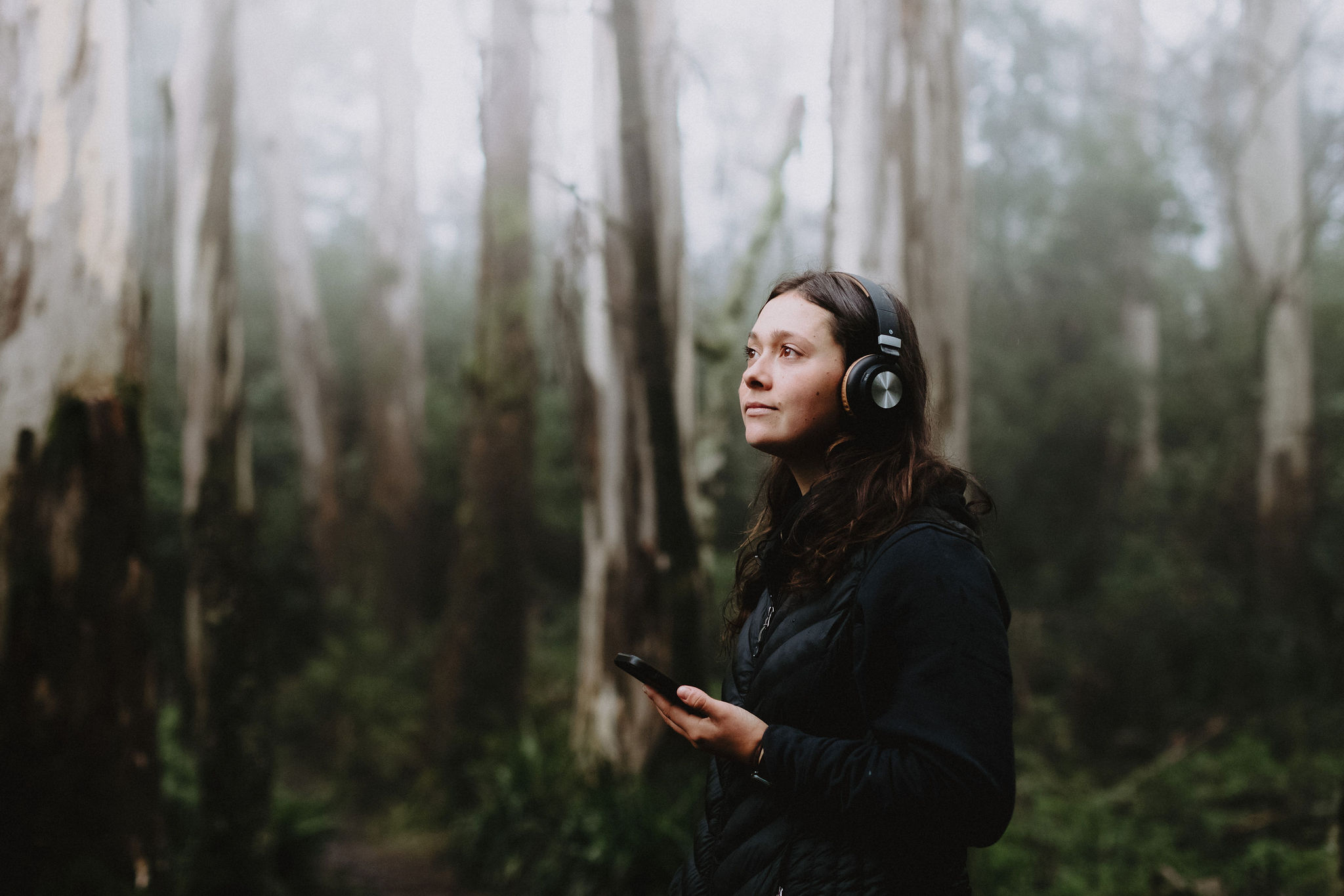 Macedon Ranges Tours | Visit Macedon Ranges