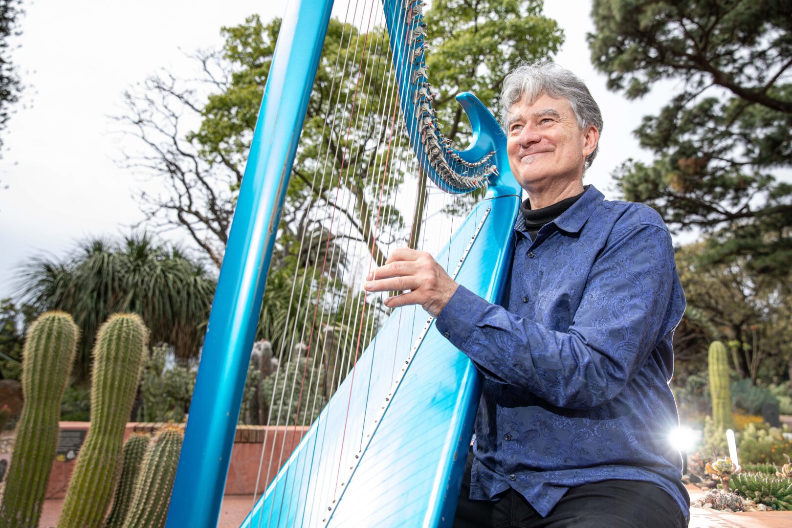'Celtic Inspired' Harp Performance with Michael Johnson - | Visit ...