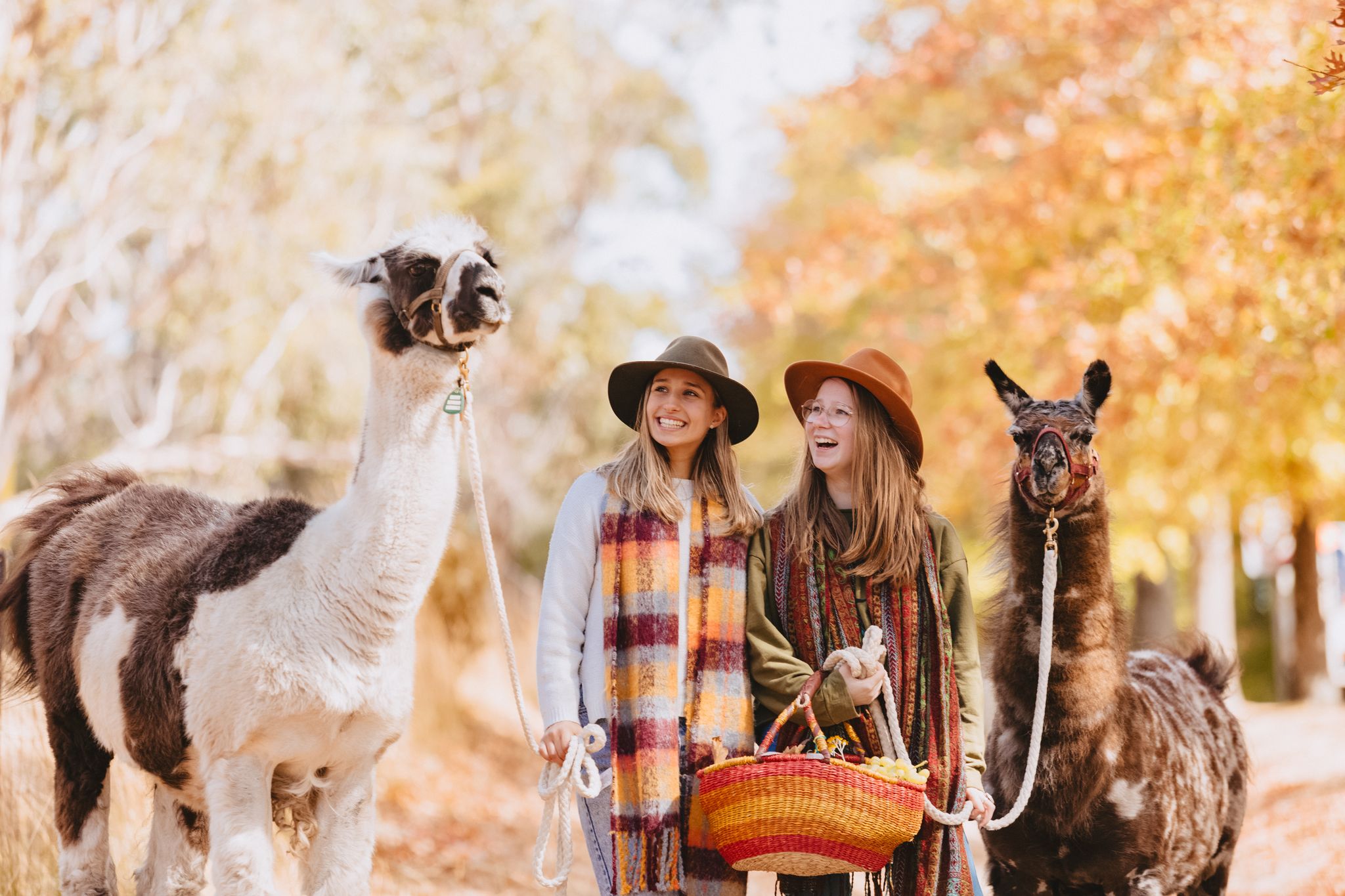 A Woodend Wonder | Visit Macedon Ranges