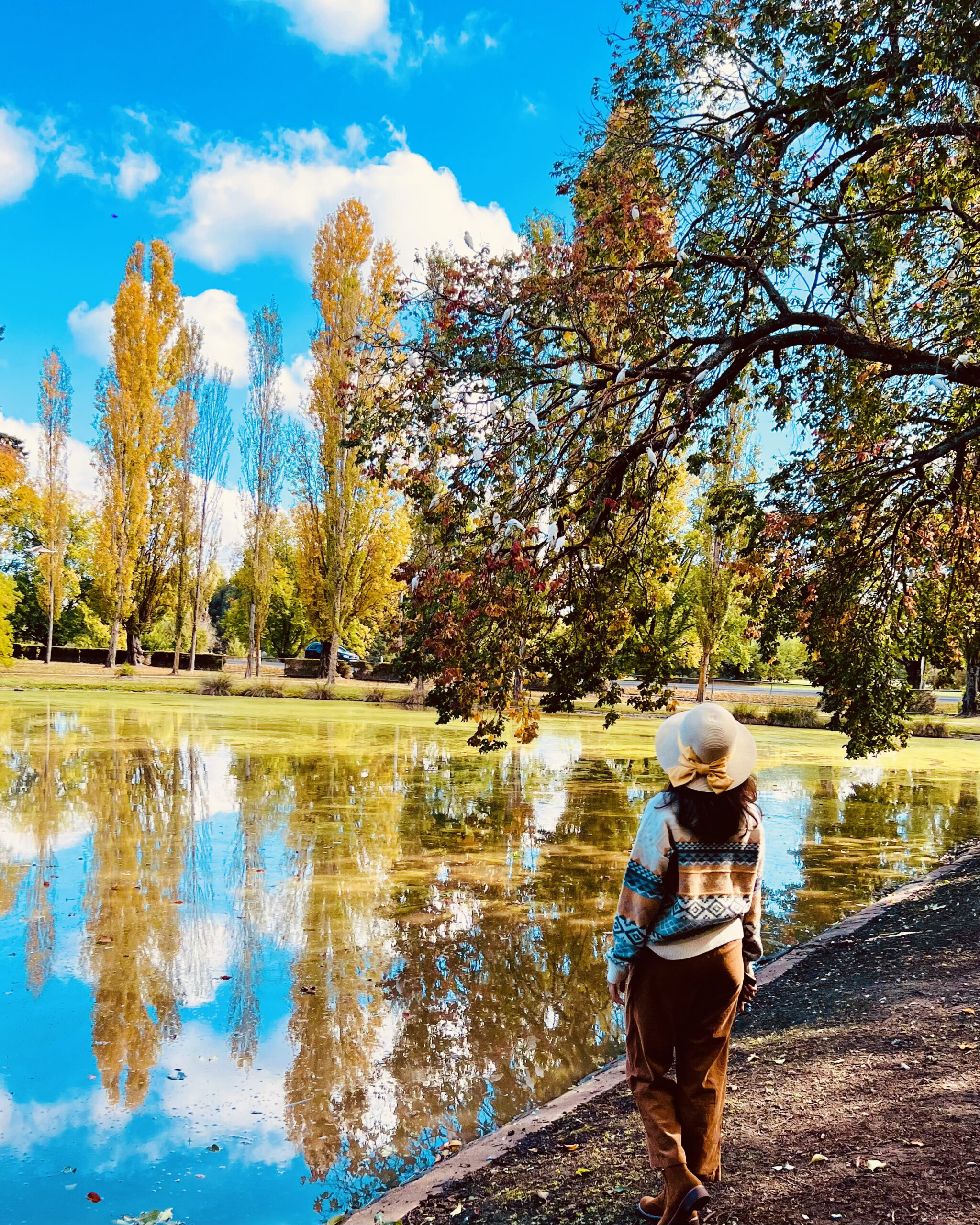 Autumn Festival – Visit Macedon Ranges
