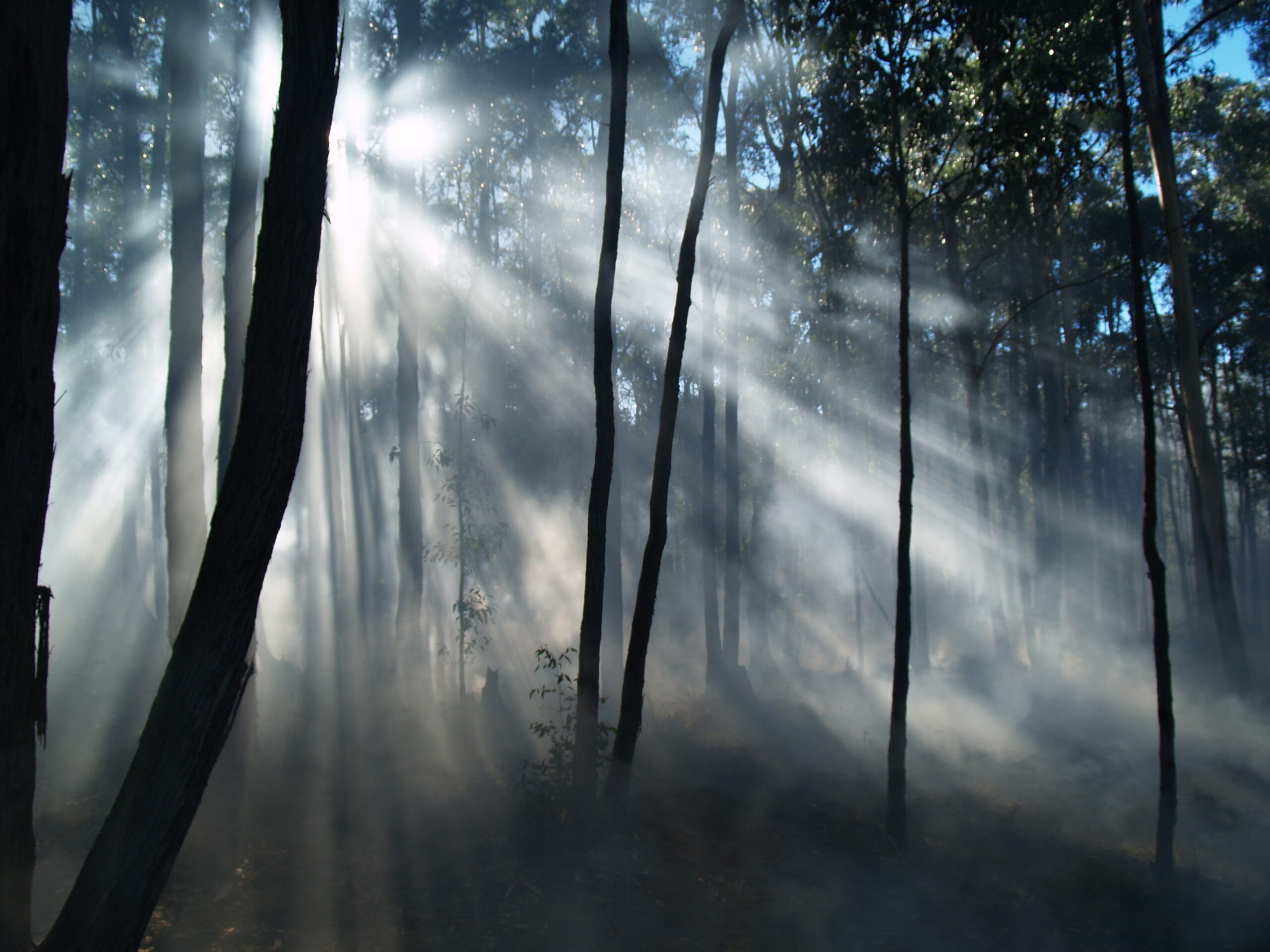 First Seasons | Visit Macedon Ranges
